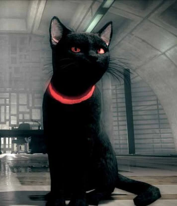 Black Cat | The Evil Within Wiki | Fandom