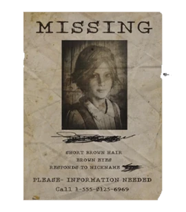 Missing Person Posters/Mysterious Woman | The Evil Within Wiki | Fandom