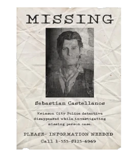 Missing Person Poster