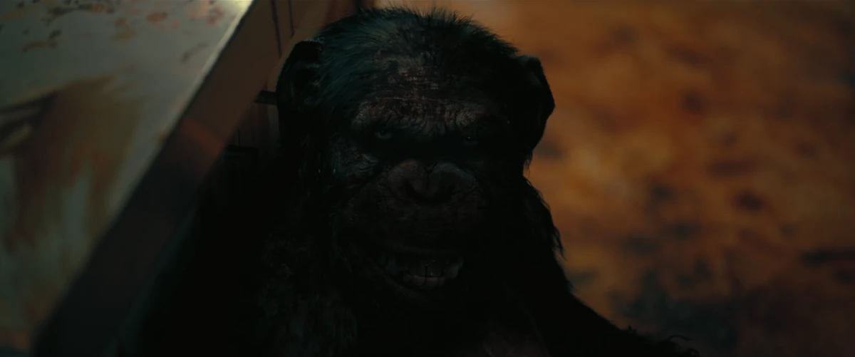 V417 | Wiki La Chute de la Maison Usher | Fandom