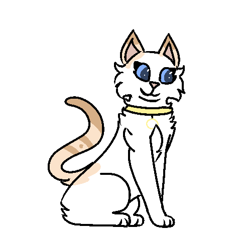 Angel | The Fallen clans Wiki | Fandom