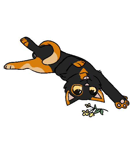 Brightpaw | The Fallen clans Wiki | Fandom