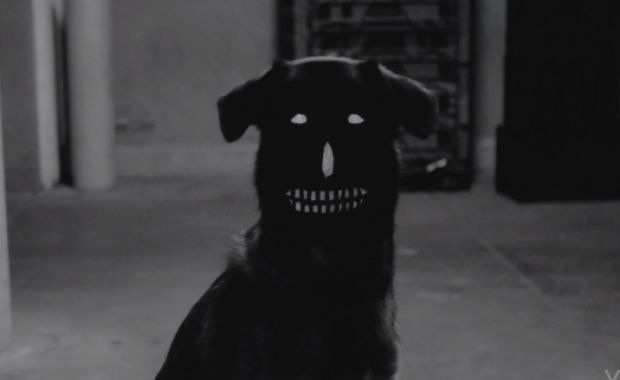 SCP-1913-3 | The Family Series Wiki | Fandom