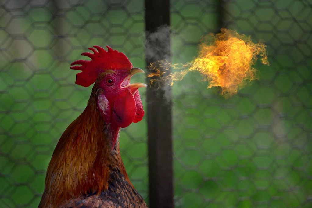 Chooki, Inferno Maker | The fanon boss fights Wiki | Fandom