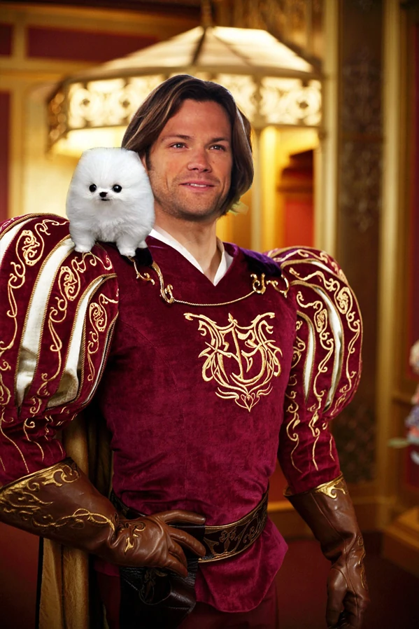 Eldin Sunweaver | The Fantasy Odyssey Wiki | Fandom