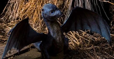 Saphira | The Fantasy Odyssey Wiki | Fandom