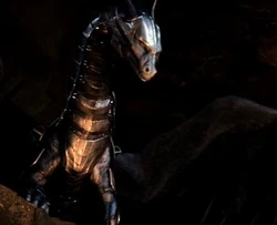Saphira | The Fantasy Odyssey Wiki | Fandom