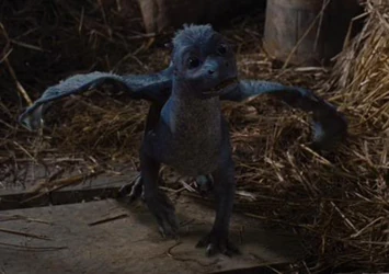 Saphira | The Fantasy Odyssey Wiki | Fandom