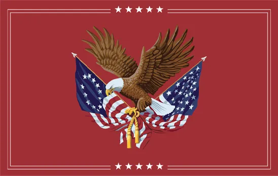 American Constitutional Government | The fire rises Wiki | Fandom