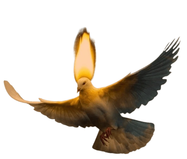 The Firestarters Wiki | Fandom