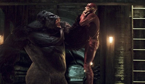 Grodd lebt! (Episode) | The Flash Wiki | Fandom