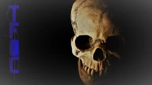 The Fear of Creation | The FNAF Fan Game Wikia | Fandom