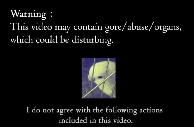 Cyan's Bird | The Fog Of Ambition Wiki | Fandom