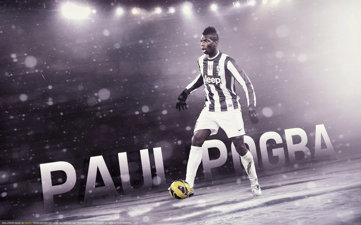 Paul Pogba/Image gallery | Football Wiki | Fandom