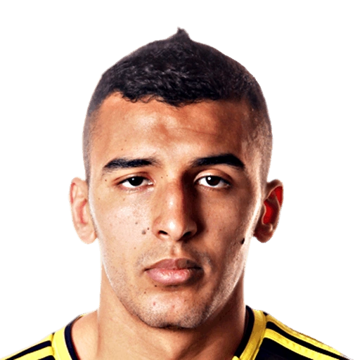 Nabil Bahoui | Football Wiki | Fandom