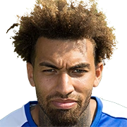 Danny Williams (born 1989) | Football Wiki | Fandom