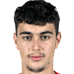 Aleksandar Pavlović | Football Wiki | Fandom