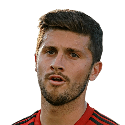 Shane Long | Football Wiki | Fandom