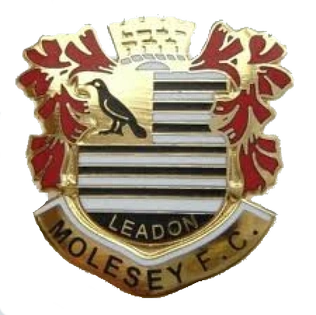 Molesey F.C. | Football Wiki | Fandom