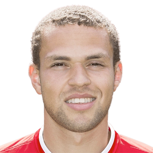 Luc Castaignos | Football Wiki | Fandom