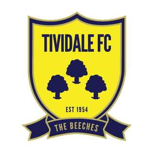 Tividale F.C. | Football Wiki | Fandom