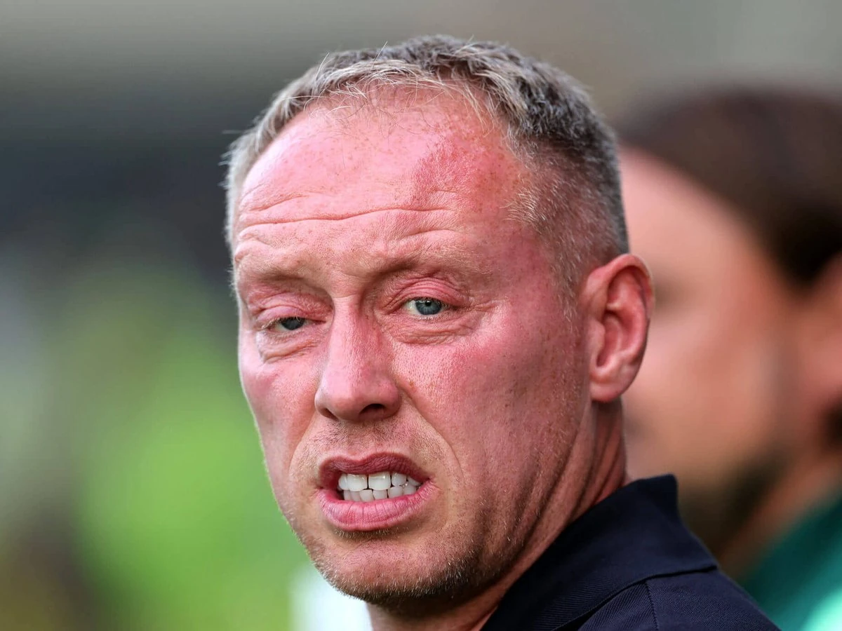 Danny Gabbidon | Football Wiki | Fandom