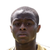 Moses Odubajo | Football Wiki | Fandom
