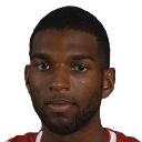 Ryan Babel/Image gallery | Football Wiki | Fandom