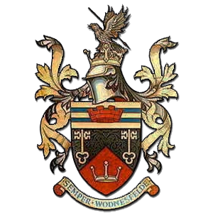 Wednesfield F.C. | Football Wiki | Fandom