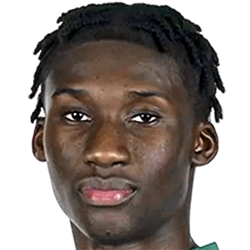 Karim Koulibaly (born 2007) | Football Wiki | Fandom
