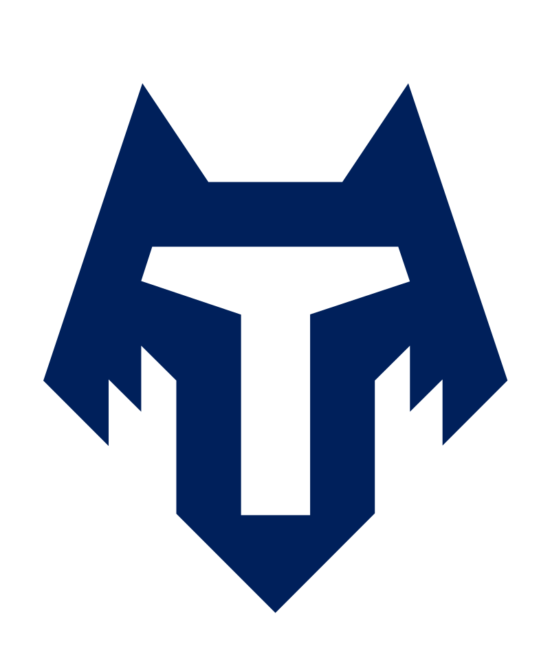 FC Tambov | Football Wiki | Fandom