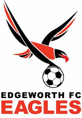 Edgeworth FC | Football Wiki | Fandom
