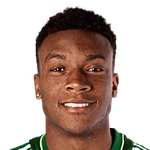 Rodney Wallace | Football Wiki | Fandom