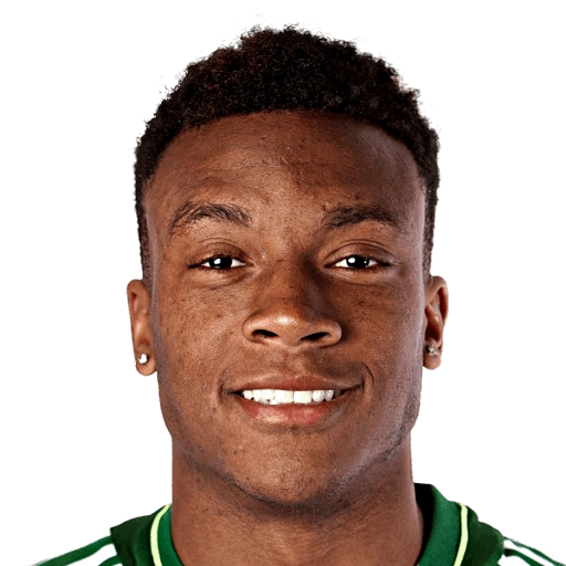 Rodney Wallace | Football Wiki | Fandom