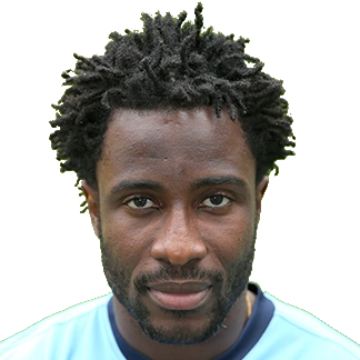 Wilfried Bony | Football Wiki | Fandom