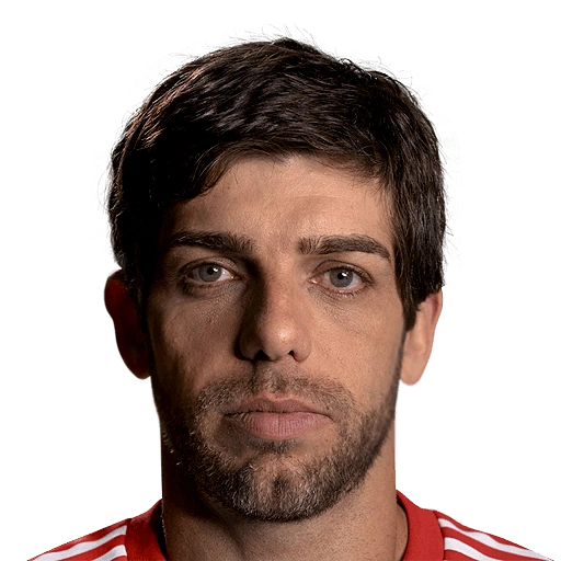 Juninho Pernambucano | Football Wiki | Fandom