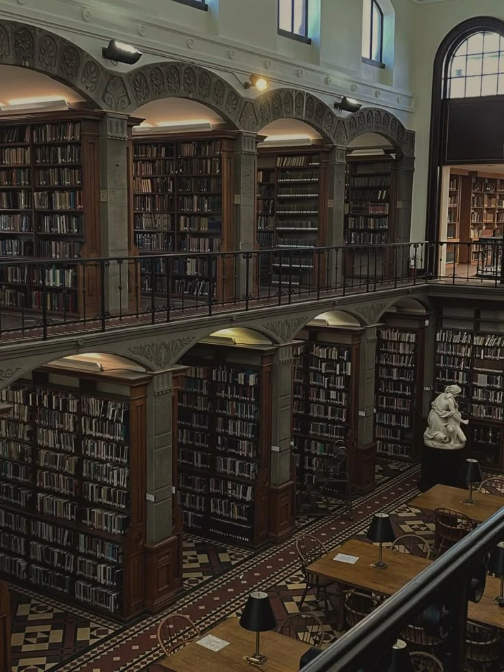 Plot | The Forbidden Library Wiki | Fandom