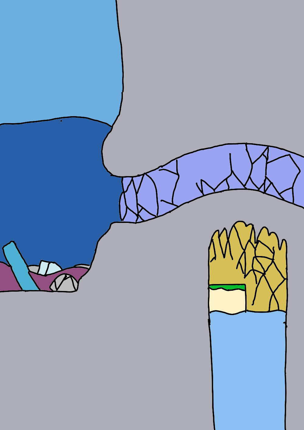 Blue Ocean The Forest Hill Rabbits Wiki Fandom