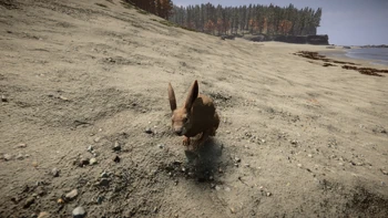 Кролик SOTF | The Forest вики | Fandom