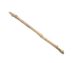 Палка SotF | The Forest вики | Fandom