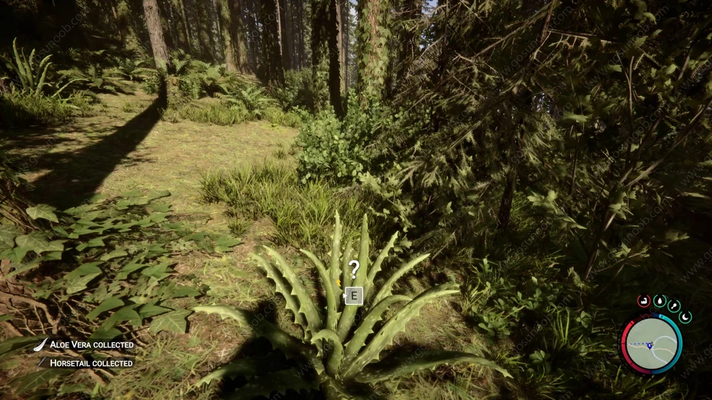 Алоэ SOTF | The Forest вики | Fandom