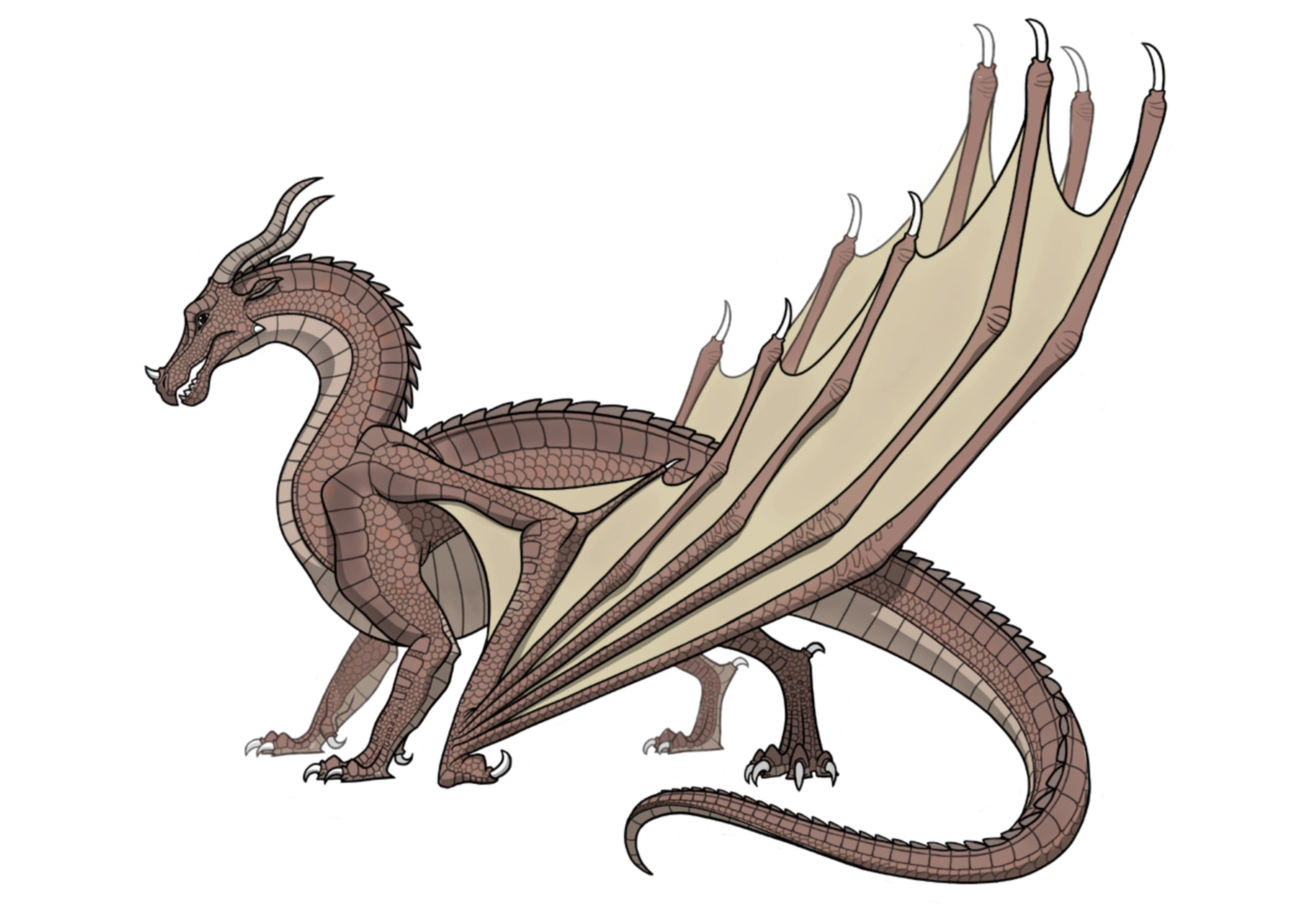 Discuss Everything About The Forgotten winglet Wiki | Fandom