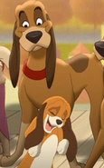 Waylon | The Fox and the Hound 2 Wiki | Fandom