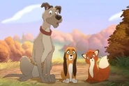 Chief | The Fox and the Hound 2 Wiki | Fandom