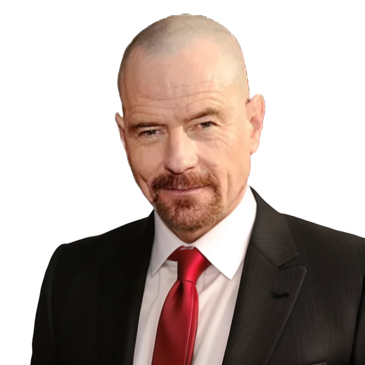 Walter White | The Frickin Zoo Wiki | Fandom