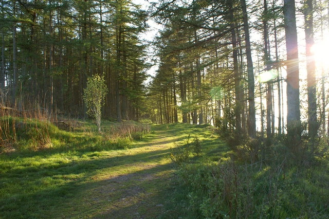 Level 97 | The Fullrooms Wiki | Fandom