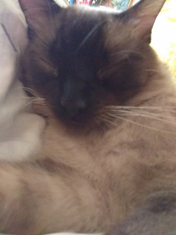 Entity 8 | The Fullrooms Wiki | Fandom