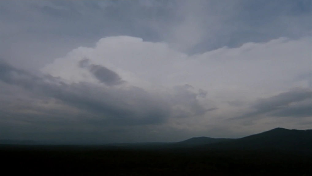 Northern Forest | The Future is Wild Wiki | Fandom