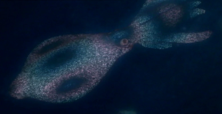 Rainbow squid | The Future is Wild Wiki | Fandom