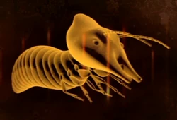 Terabyte | The Future is Wild Wiki | Fandom